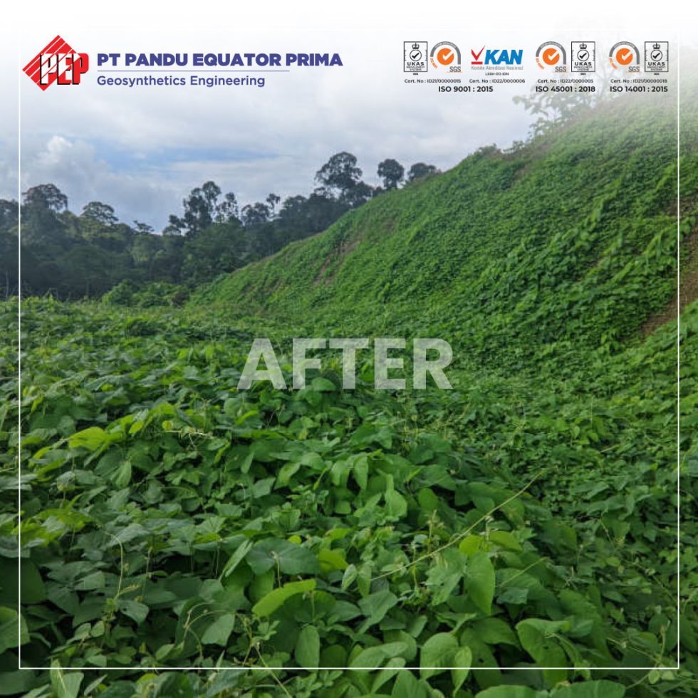 Dokumentasi Aplikasi Hydroseeding Sebelum dan Sesudah Tumbuh Tanaman ...